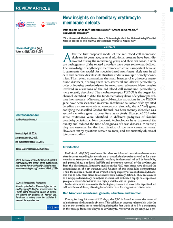 (PDF) New Insights on hereditary erythrocyte membrane defects | Roberta ...
