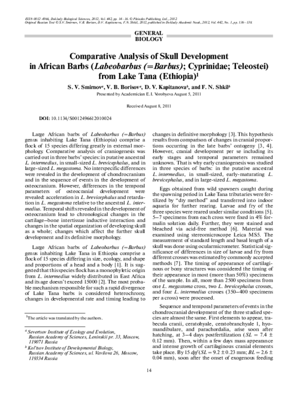 (PDF) Comparative analysis of skull development in African barbs ...