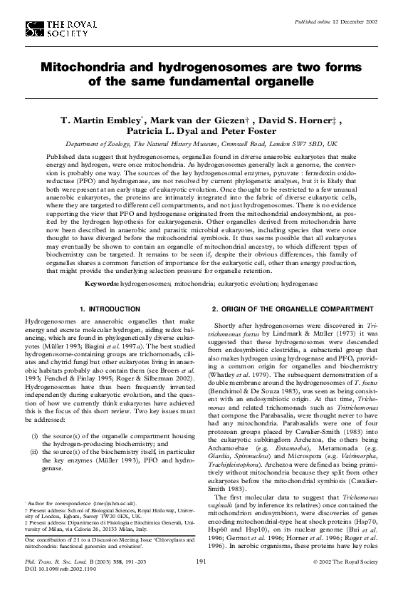 (PDF) Mitochondria and hydrogenosomes are two forms of the same ...