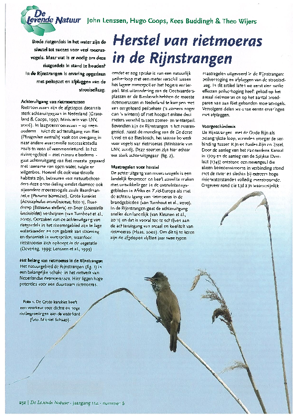 (PDF) Herstel van rietmoeras in de Rijnstrangen | John Lenssen ...