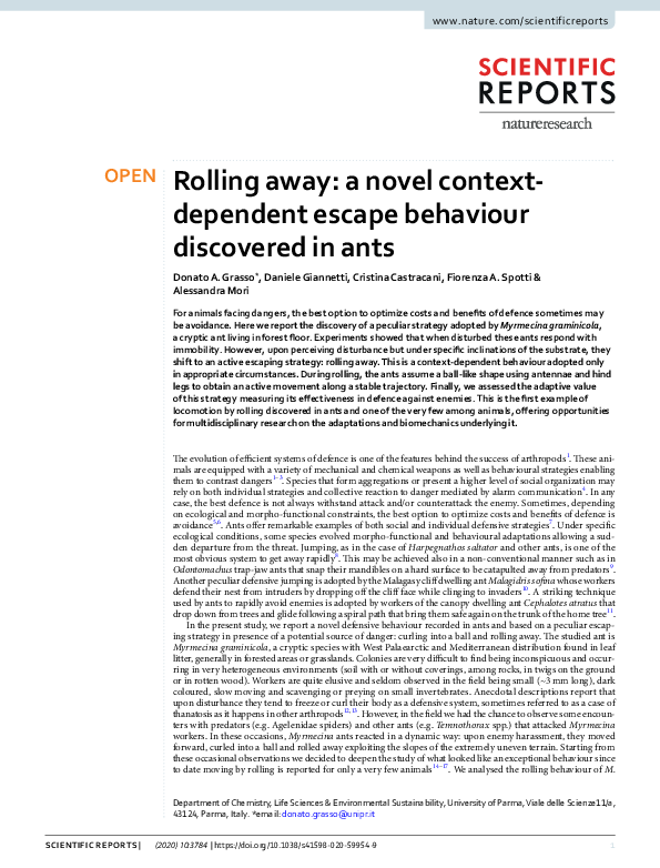 (PDF) Rolling away: a novel context-dependent escape behaviour discovered in ants | Donato ...