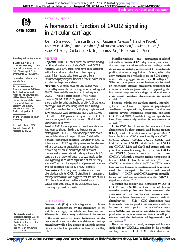 (PDF) A homeostatic function of CXCR2 signalling in articular cartilage