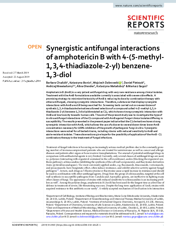 (PDF) Synergistic antifungal interactions of amphotericin B with 4-(5 ...