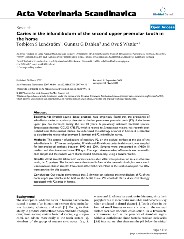 (PDF) Caries in the infundibulum of the second upper premolar tooth in ...
