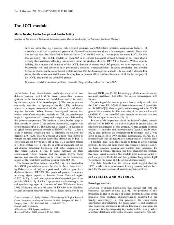 (PDF) The LCCL module