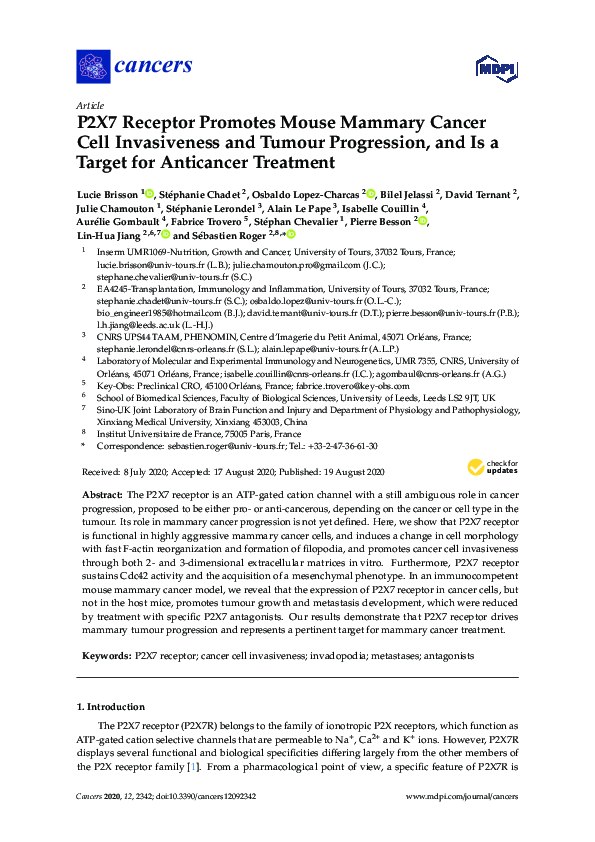(PDF) P2X7 Receptor Promotes Mouse Mammary Cancer Cell Invasiveness and ...