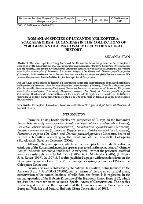 (PDF) Romanian Species of Lucanids (Coleoptera: Scarabaeoidea ...