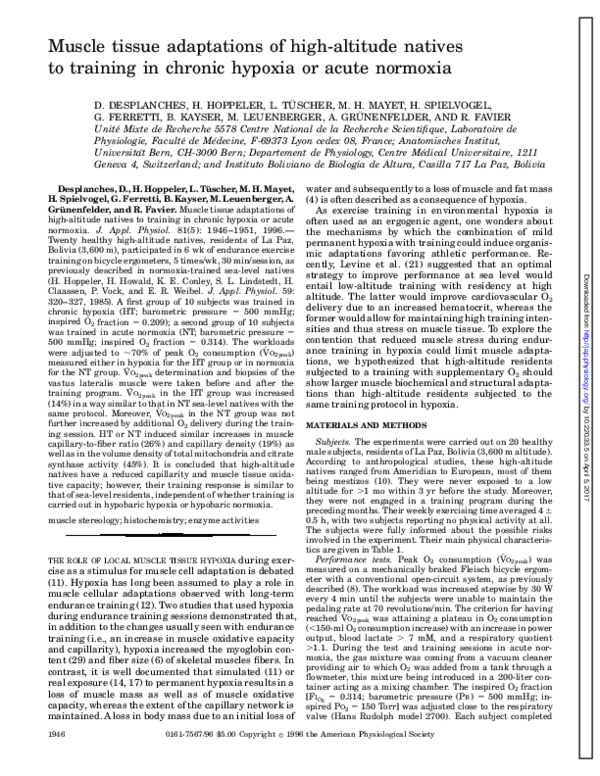 (PDF) Muscle tissue adaptations of high-altitude natives to training in ...