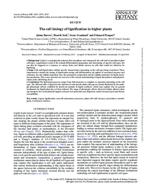 (PDF) The cell biology of lignification in higher plants