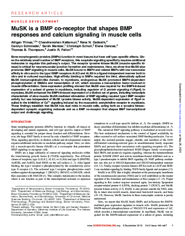 (PDF) MuSK is a BMP co-receptor that shapes BMP responses and calcium ...
