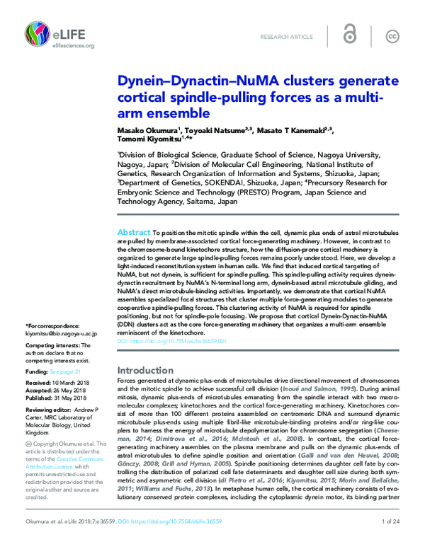 (PDF) Dynein–Dynactin–NuMA clusters generate cortical spindle-pulling ...