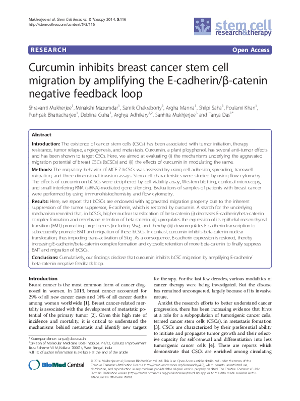 (PDF) Curcumin inhibits breast cancer stem cell migration by amplifying ...