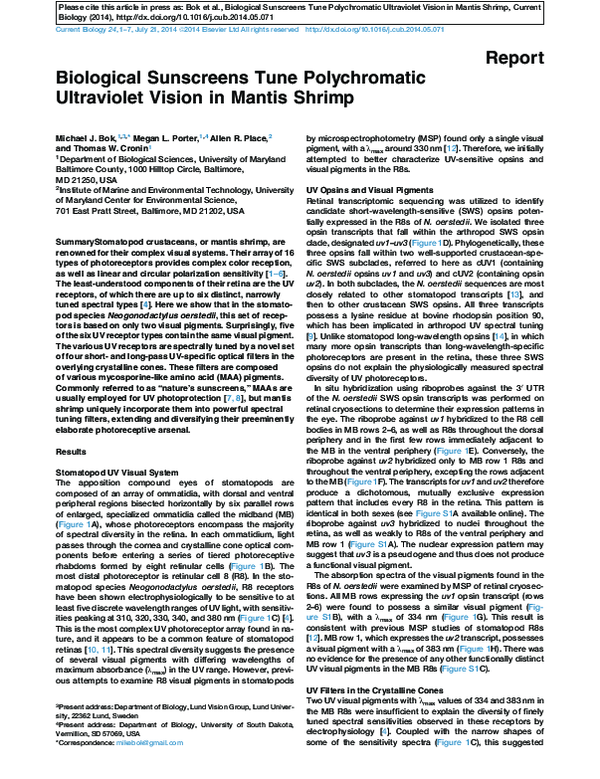 (PDF) Report Biological Sunscreens Tune Polychromatic Ultraviolet ...