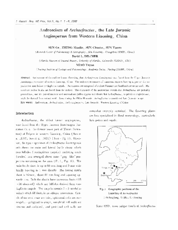 (PDF) Androecium of Archaefructus, the Late Jurassic Angiosperms from ...