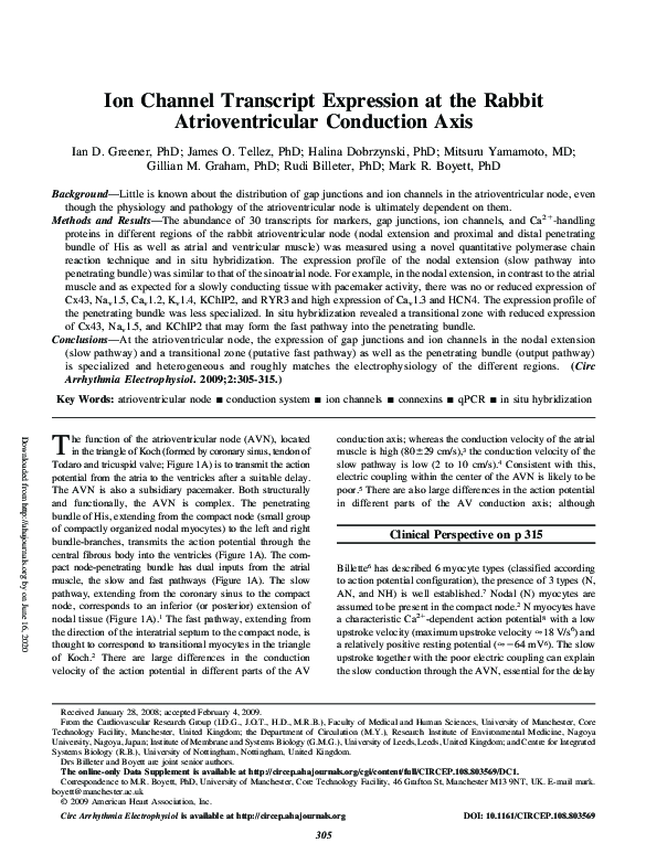 (PDF) Ion channel transcript expression at the rabbit atrioventricular ...