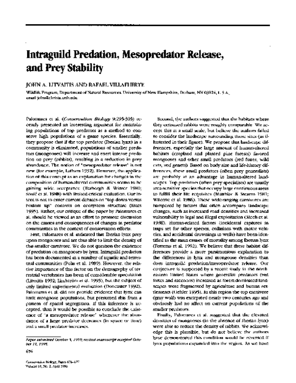 (PDF) Intraguild Predation, Mesopredator Release, and Prey Stability