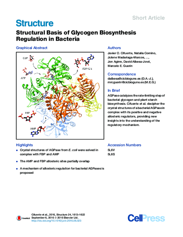 (PDF) Structural Basis of Glycogen Biosynthesis Regulation in Bacteria