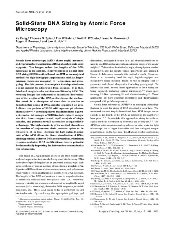 (PDF) Solid-State DNA Sizing by Atomic Force Microscopy