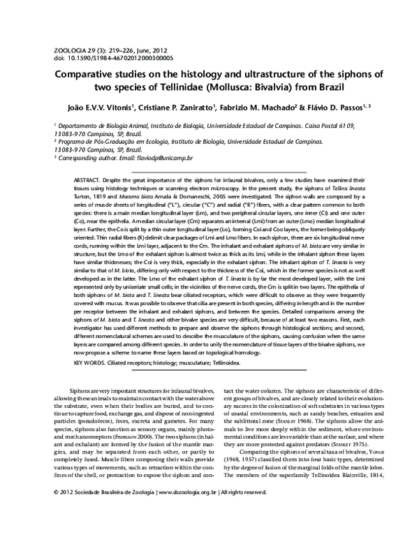 (PDF) Comparative studies on the histology and ultrastructure of the ...
