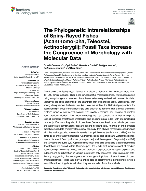 (PDF) The Phylogenetic Intrarelationships of Spiny-Rayed Fishes ...