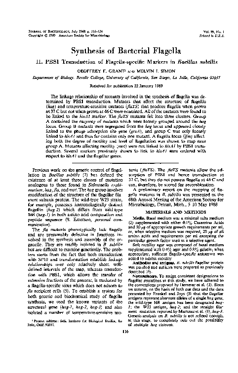 (PDF) Synthesis of Bacterial Flagella II. PBSl Transduction of Flagella ...