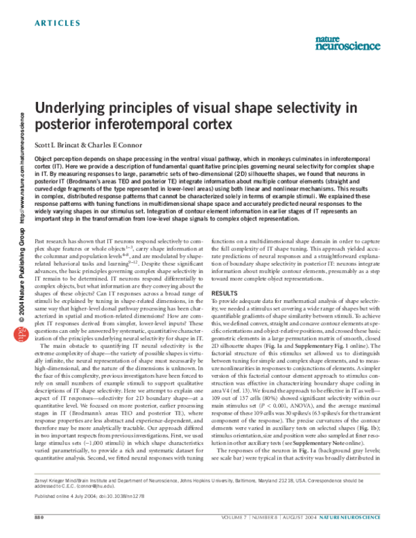 (PDF) Underlying principles of visual shape selectivity in posterior ...