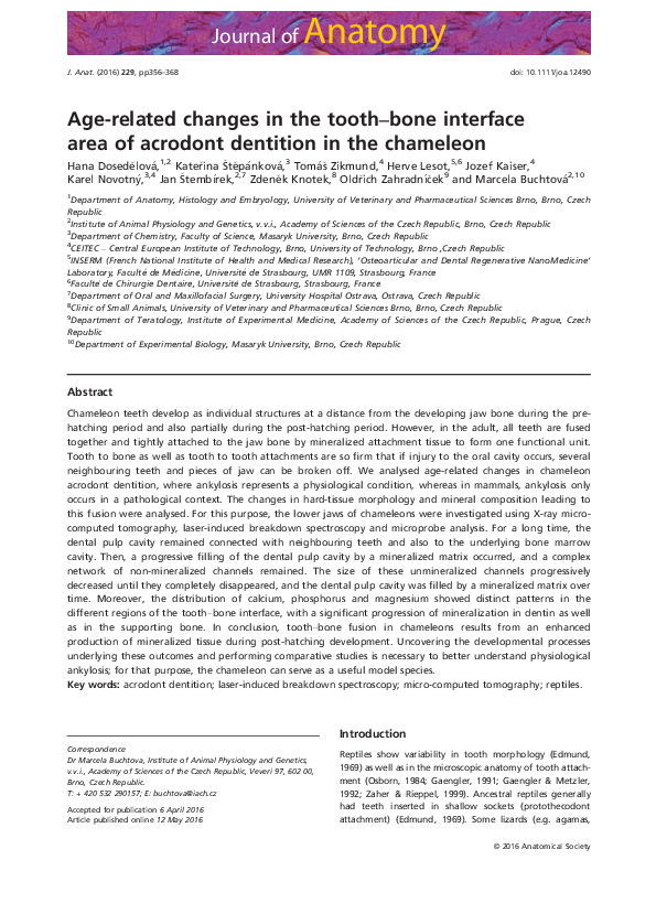 (PDF) Age-related changes in the tooth-bone interface area of acrodont ...