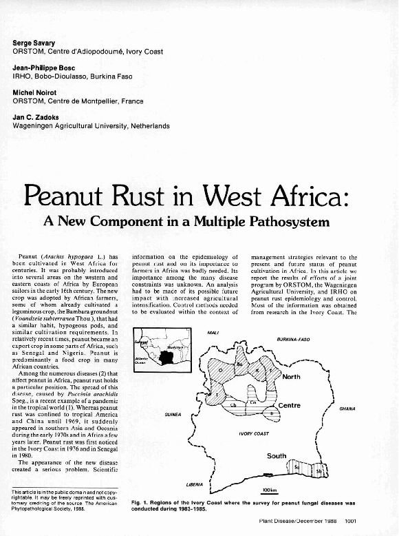 (PDF) Peanut Rust in West Africa: A New Component in a Multiple Pathosystem
