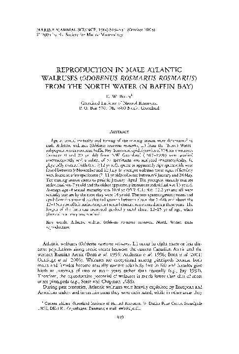 (PDF) Reproduction in Male Atlantic Walruses (Odobenus Rosmarus ...
