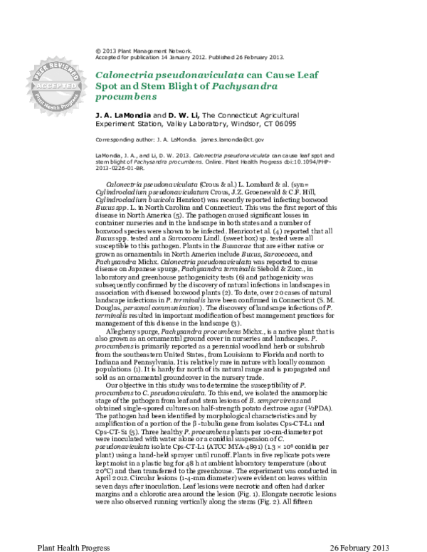 (PDF) Calonectria pseudonaviculata can Cause Leaf Spot and Stem Blight ...