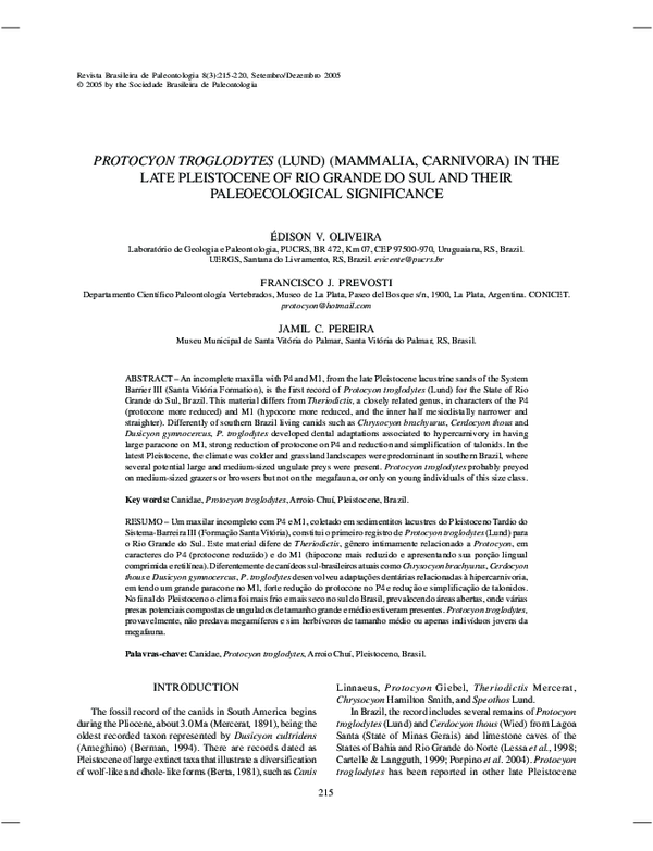 (PDF) Protocyon troglodytes (Lund)(Mammalia, Carnivora) in the Late ...
