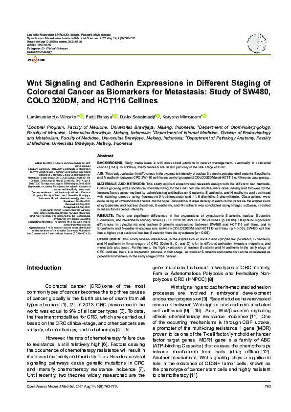 (PDF) Wnt Signaling and Cadherin Expressions in Different Staging of ...