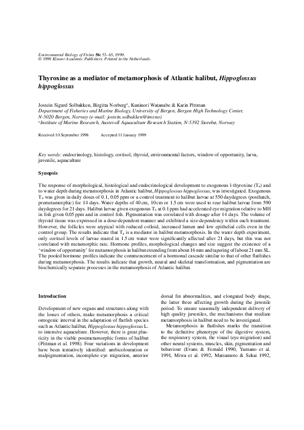 (PDF) Thyroxine as a mediator of metamorphosis of Atlantic halibut ...