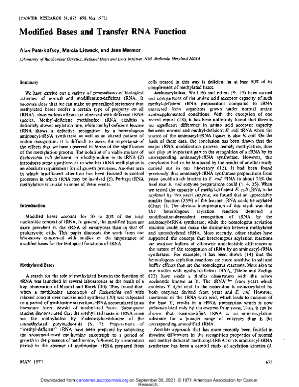 (PDF) Modified Bases and Transfer RNA Function