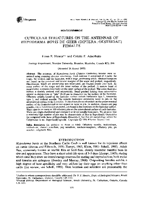 (PDF) Cuticular structures on the antennae of Hypoderma bovis De Geer ...