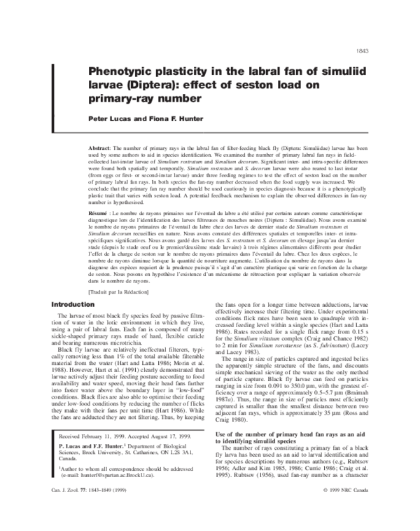 (PDF) Phenotypic plasticity in the labral fan of simuliid larvae ...