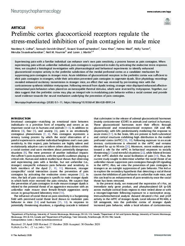 (PDF) Prelimbic cortex glucocorticoid receptors regulate the stress ...
