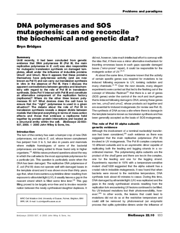 (PDF) DNA polymerases and SOS mutagenesis: can one reconcile the ...