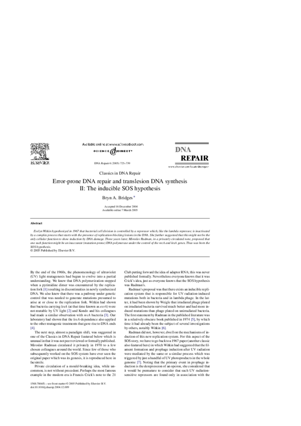 (PDF) DNA Repair and Translesion Synthesis Insights