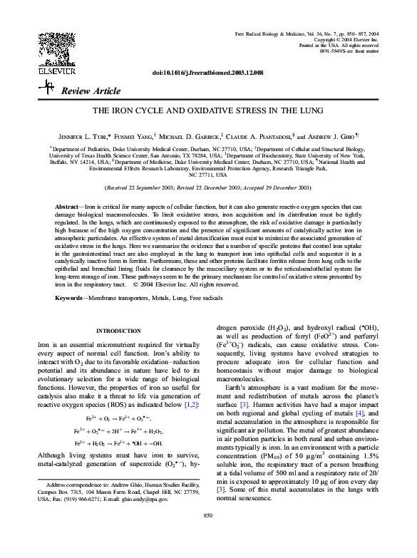 (PDF) The iron cycle and oxidative stress in the lung