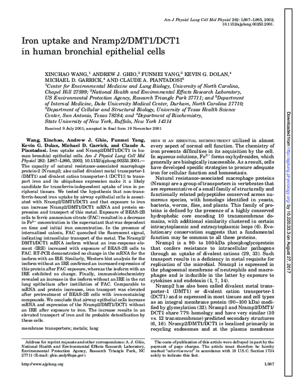 (PDF) Iron uptake and Nramp2/DMT1/DCT1 in human bronchial epithelial cells
