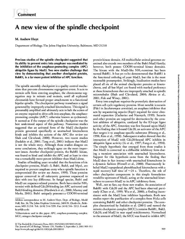 (PDF) A new view of the spindle checkpoint