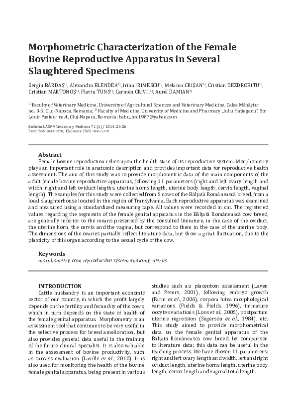 (PDF) Morphometric Characterization of the Female Bovine Reproductive Apparatus in Several ...