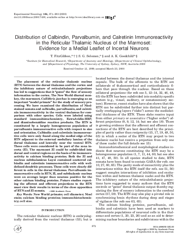 (PDF) Distribution of Calbindin, Parvalbumin, and Calretinin ...