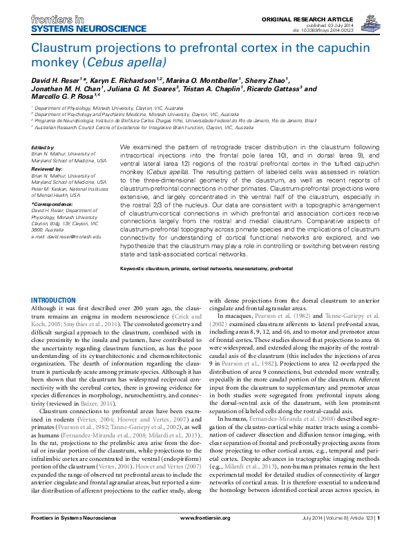 (PDF) Claustrum projections to prefrontal cortex in the capuchin monkey ...