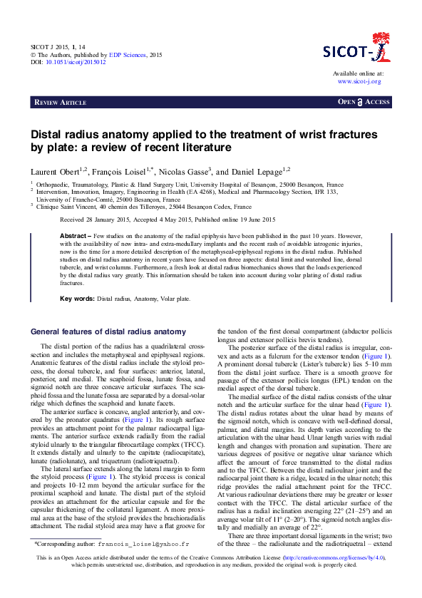 Pdf Distal Radius Anatomy Applied To The Treatment Of Wrist Fractures By Plate A Review Of