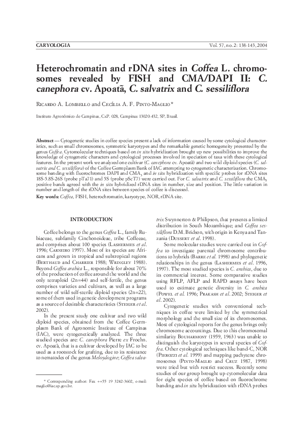 (PDF) Heterochromatin and rDNA sites inCoffeaL. chromosomes revealed by ...