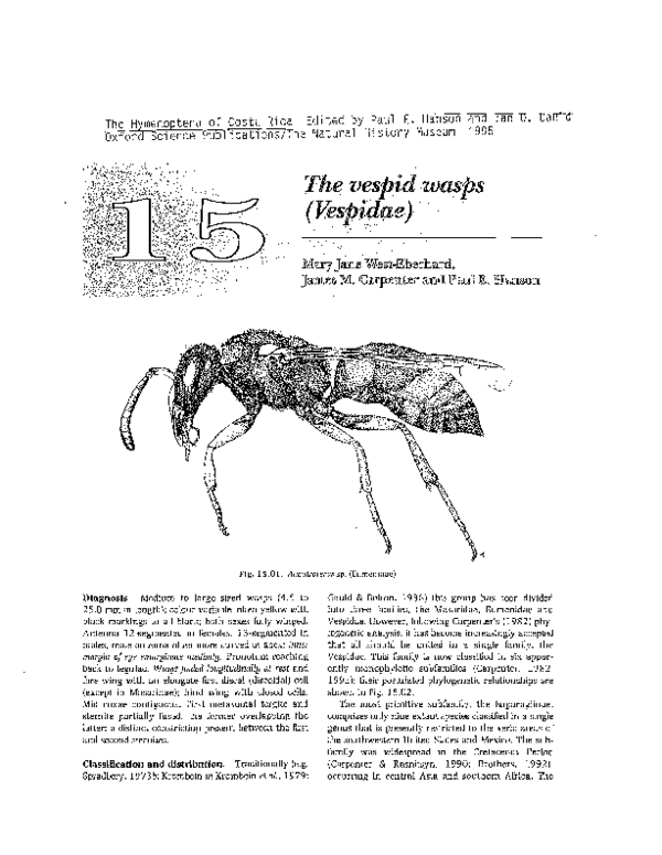 (PDF) The vespid wasps (Vespidae)