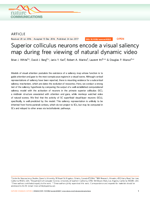 (PDF) Superior colliculus neurons encode a visual saliency map during ...