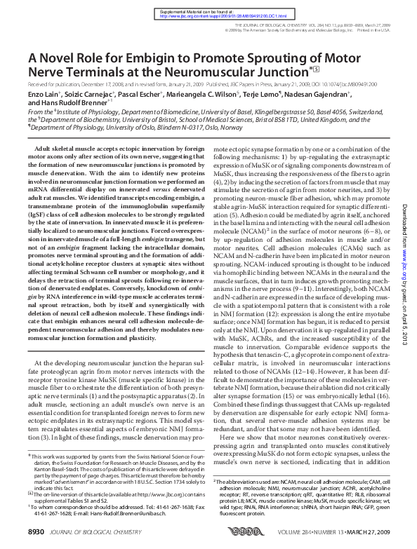 (PDF) A novel role for embigin to promote sprouting of motor nerve ...
